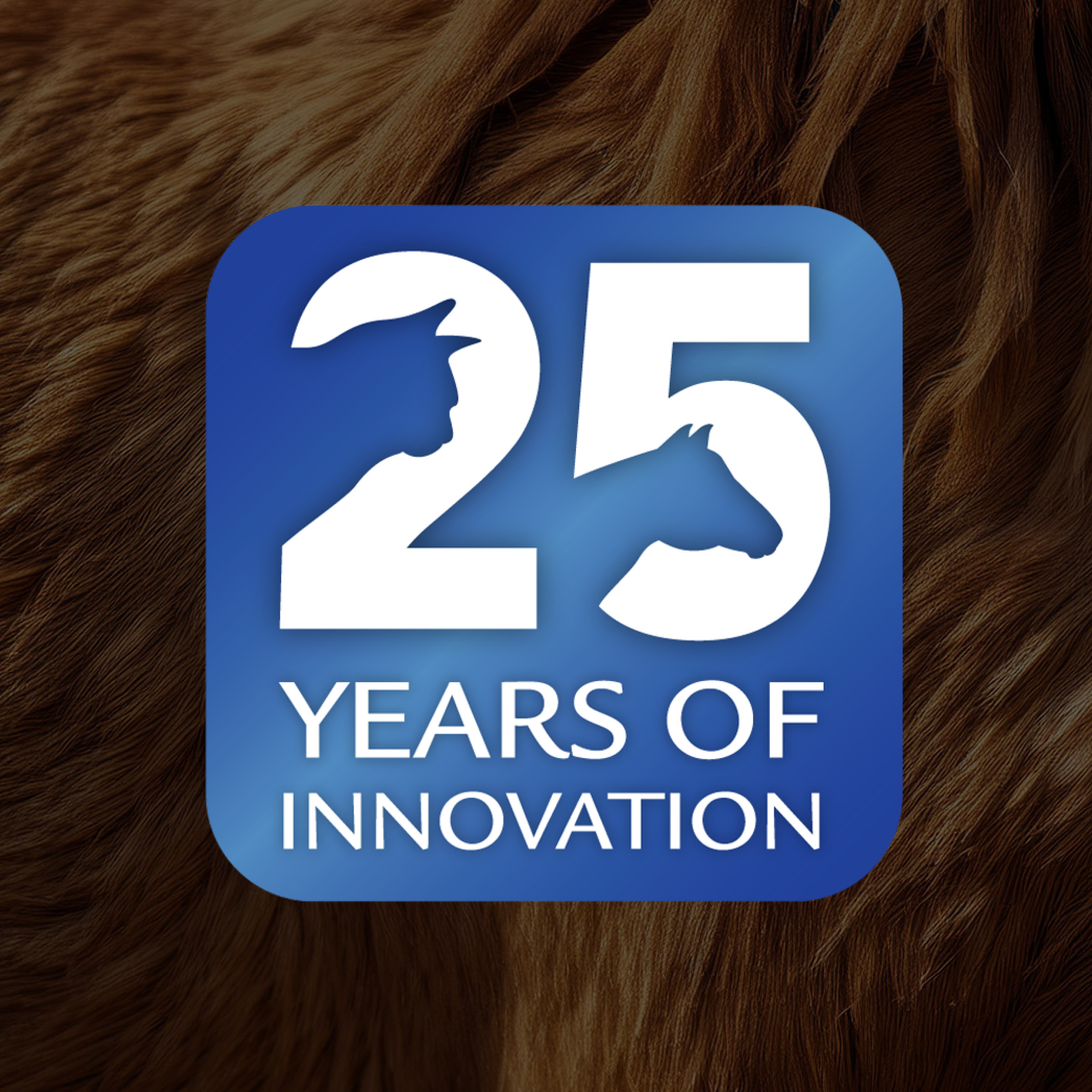 Virbac 25 Years Anniversary Logo – Design Bond